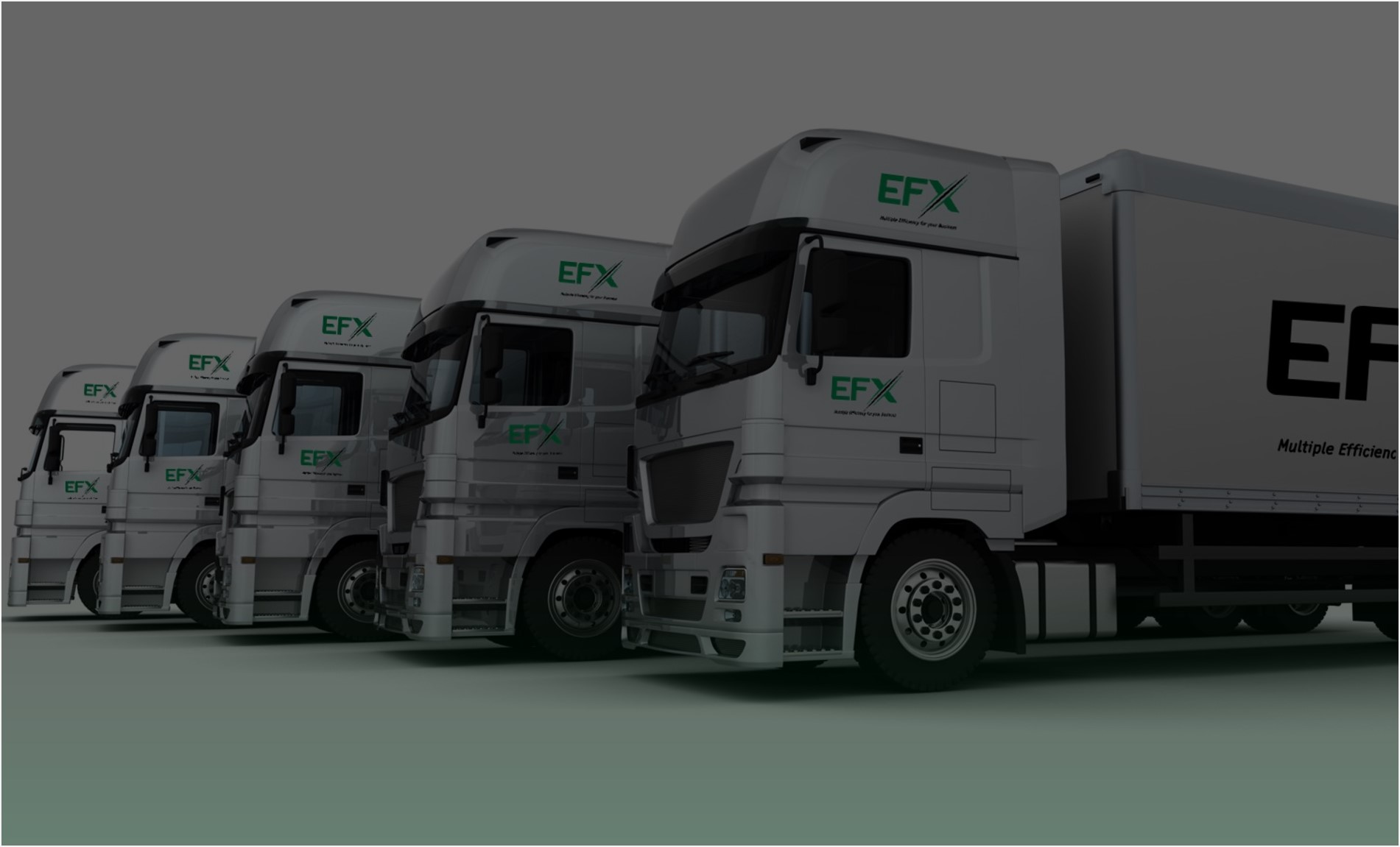 Fleet - EFX Logistic