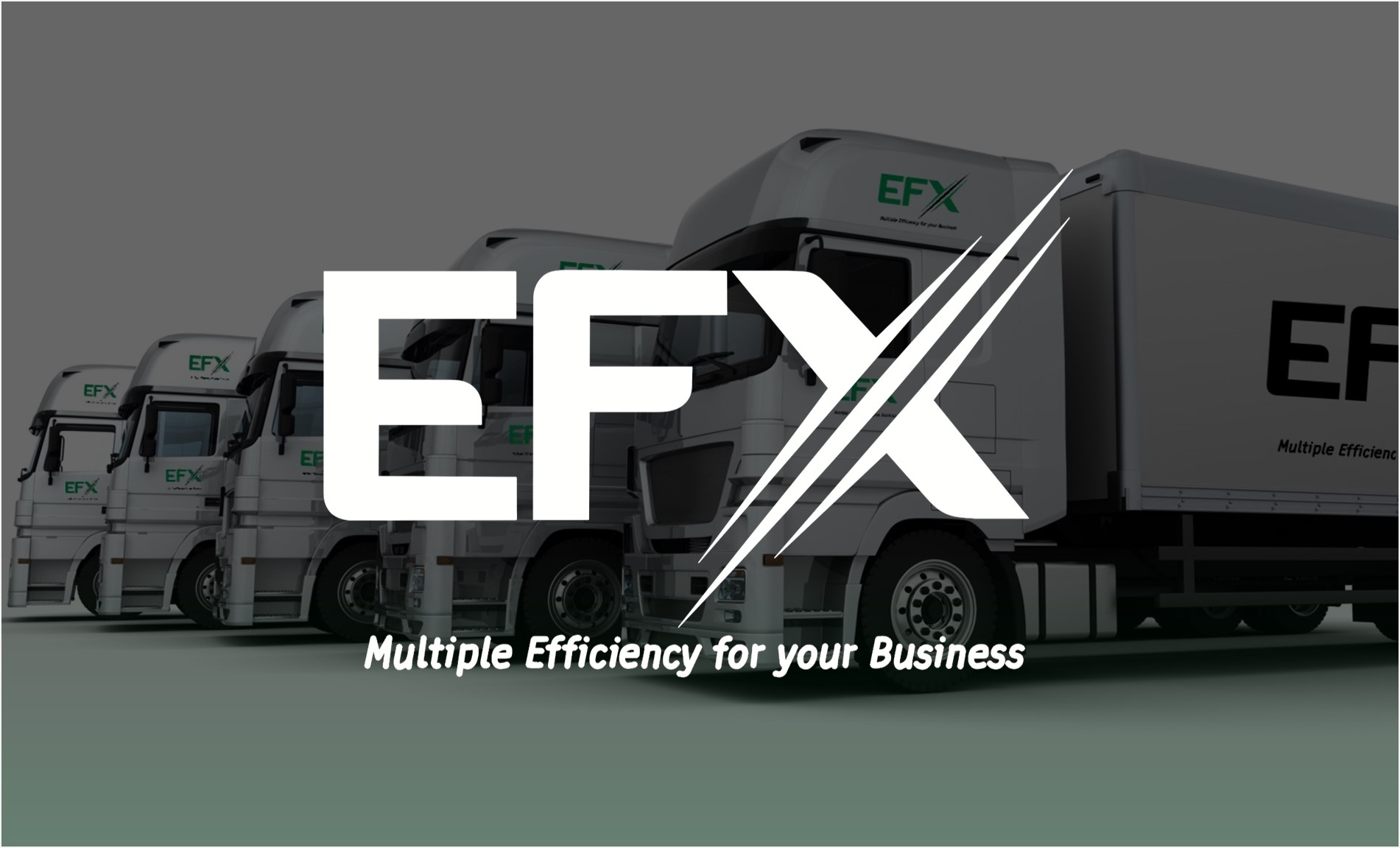 Fleet - EFX Logistic